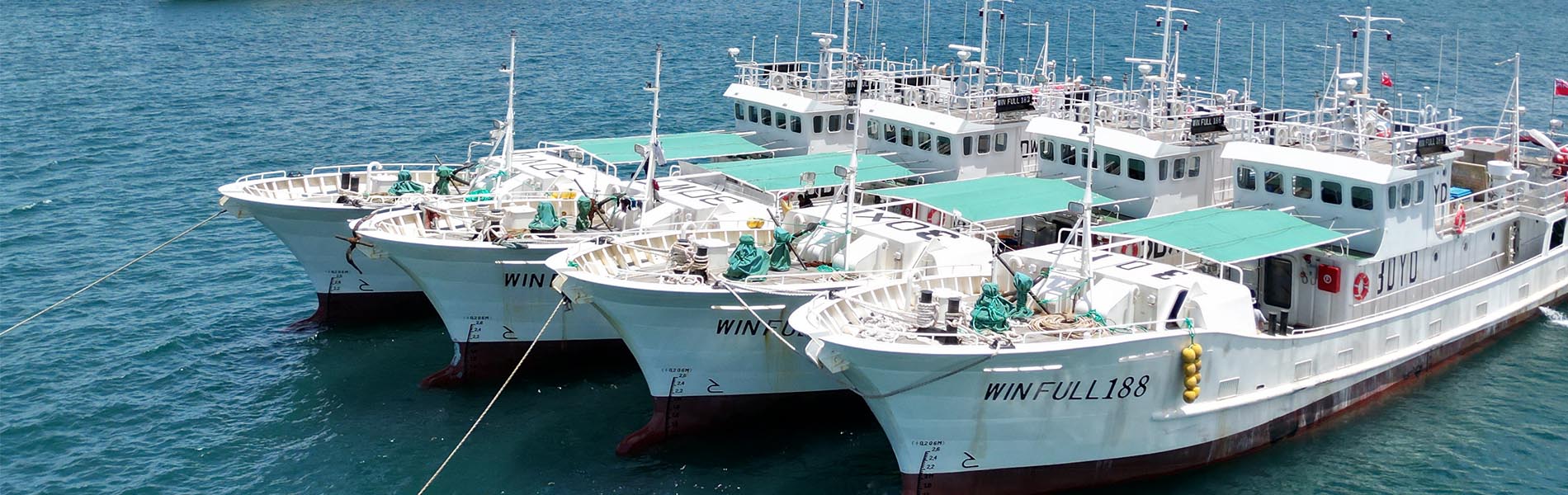 FLEET & FACILITY - Golden Ocean Tuna